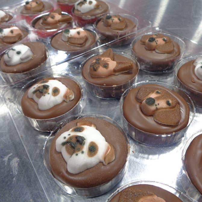 🐕Milk Chocolate Oreo "Dog"🐾 Box of 24 – Bear Creek Candy Kitchen