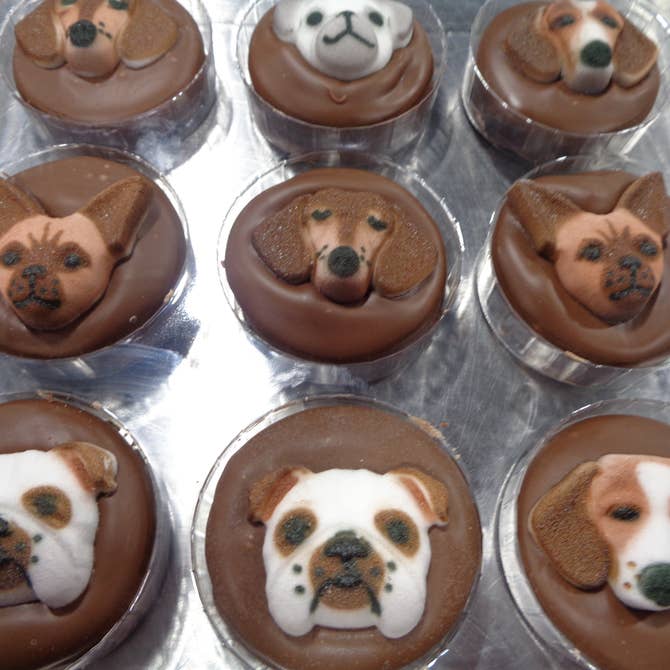 🐕Milk Chocolate Oreo "Dog"🐾 Box of 24 – Bear Creek Candy Kitchen